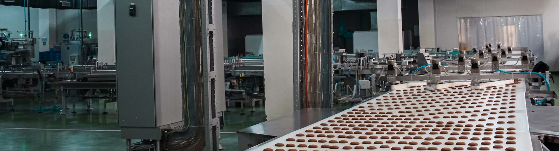 Kanha Manufacturing | Best Sweets, Biscuits & Cookies Supplier in India